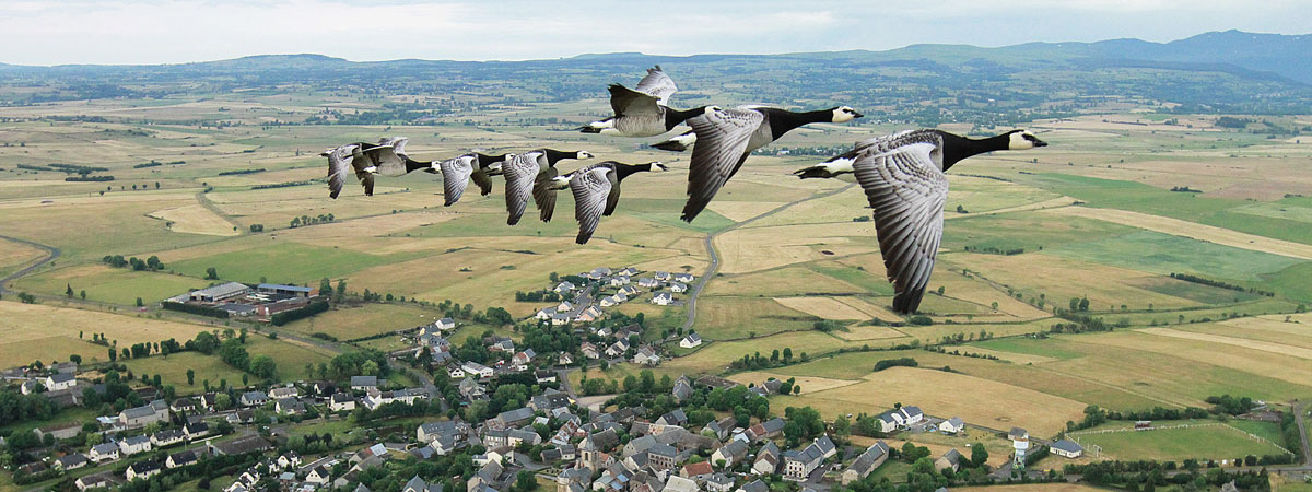 Site de migration des oiseaux - Domaine nordique de Prat de Bouc